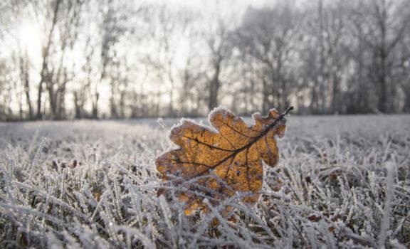 Cold Weather Information - Ron Hall Sprinklers